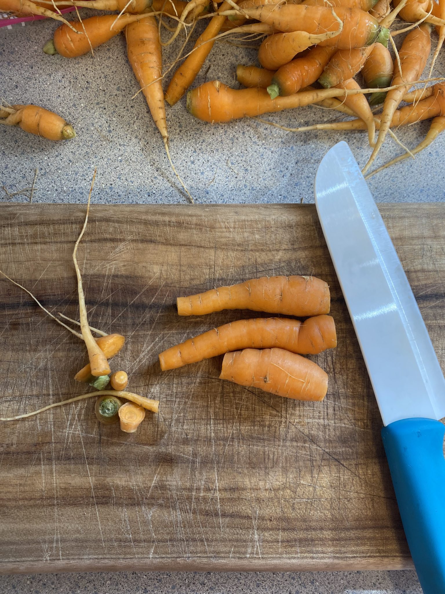 Preserving Carrots - Nelson Road Garden