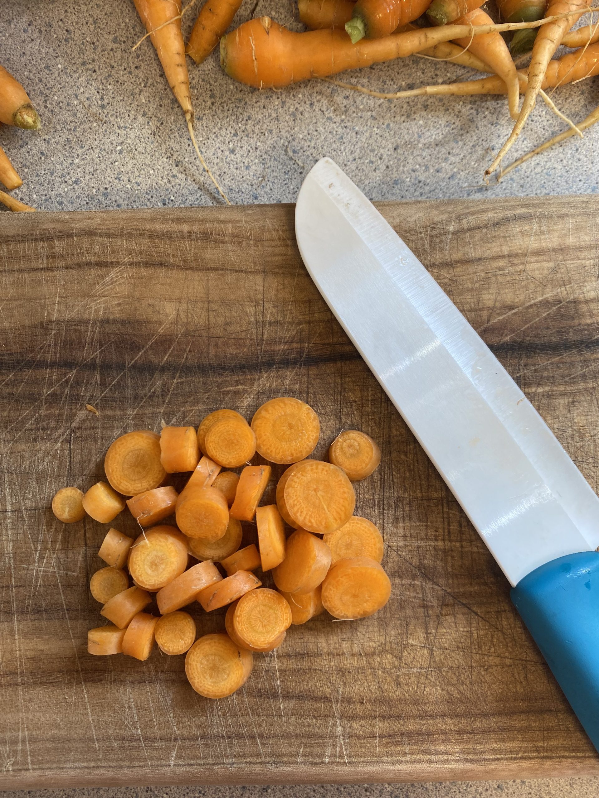 Preserving Carrots - Nelson Road Garden