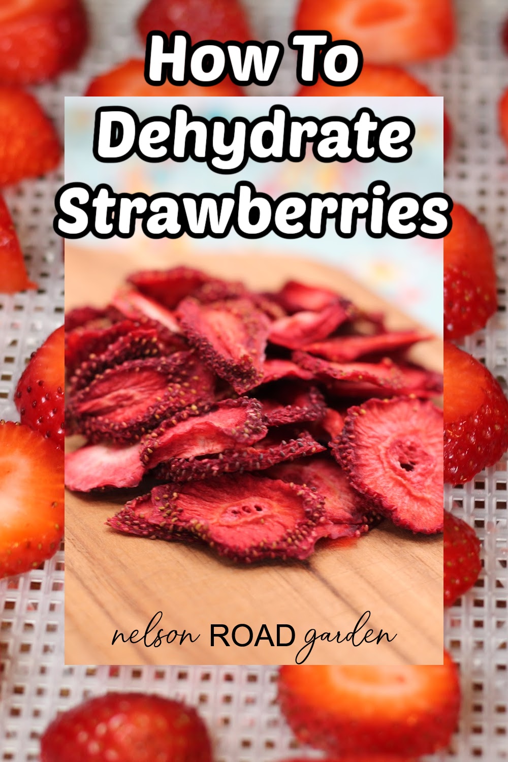 How to Dehydrate Strawberries - Nelson Road Garden