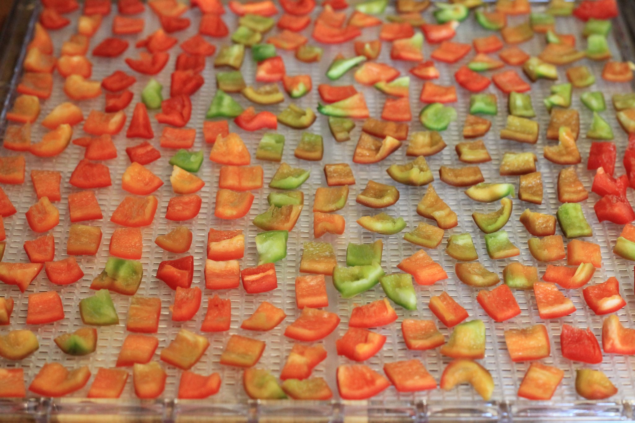 How to Dehydrate Bell Peppers - Nelson Road Garden