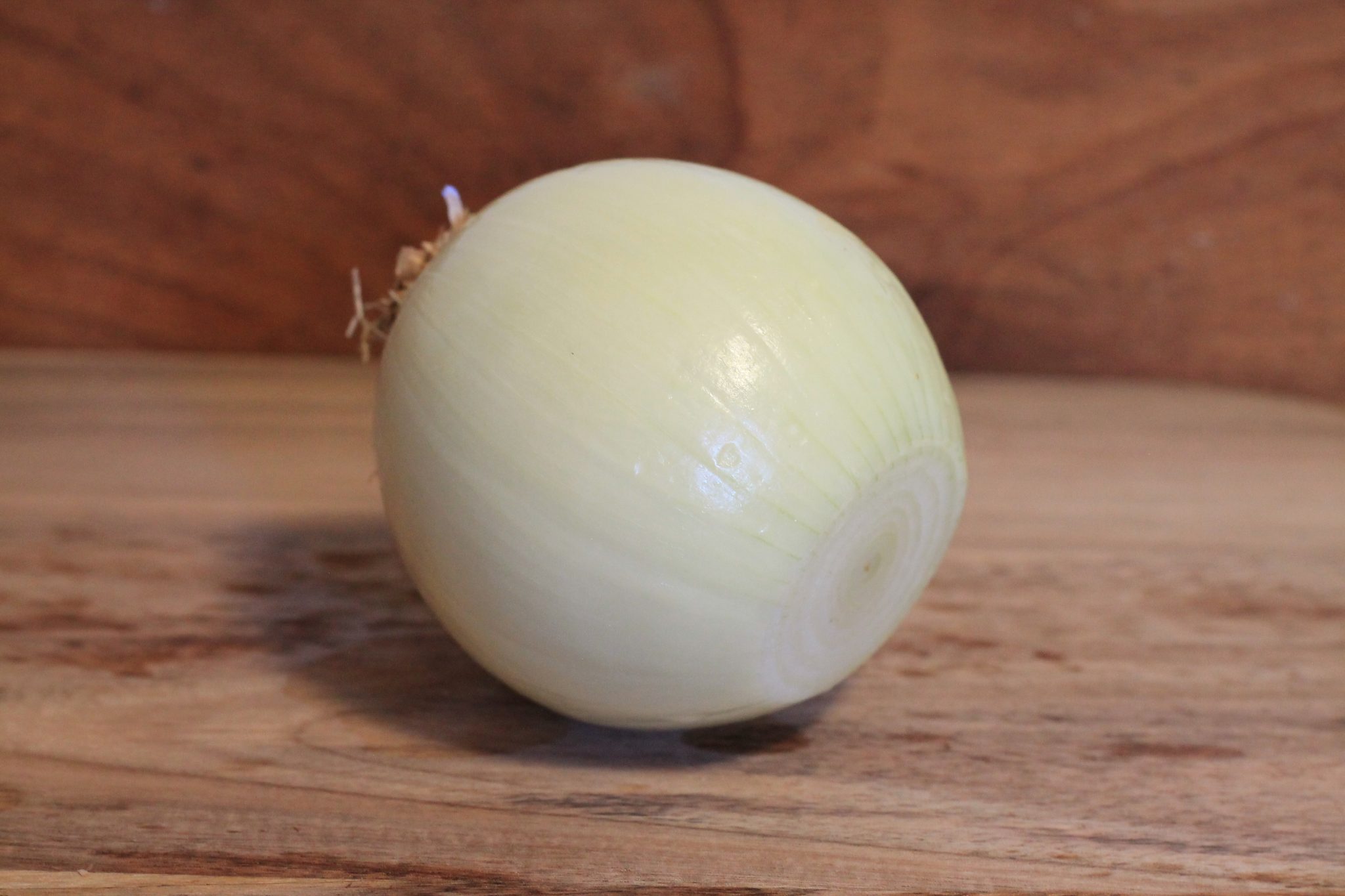 Easy Fried Onion Strings - Nelson Road Garden