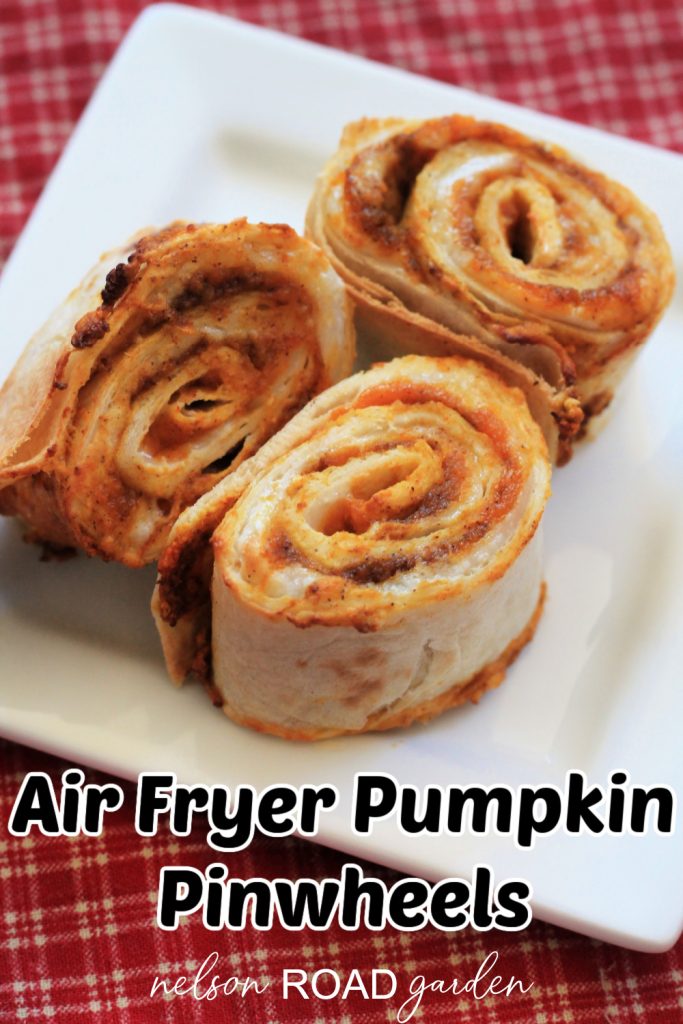 Air Fryer Pumpkin Pinwheels - Nelson Road Garden