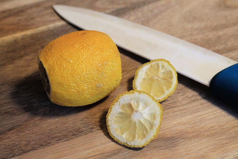 How to Dehydrate Lemons - Nelson Road Garden