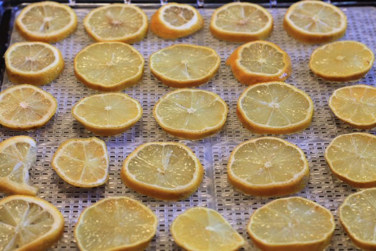 How to Dehydrate Lemons - Nelson Road Garden
