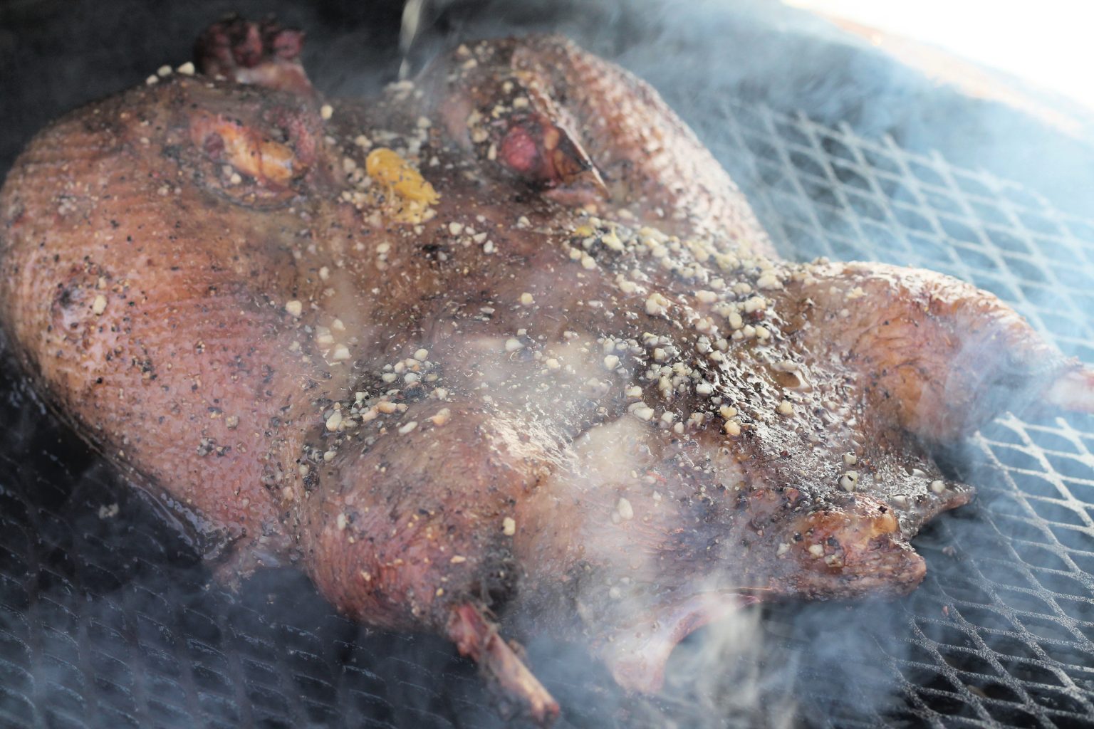 Grilled Goose - Nelson Road Garden