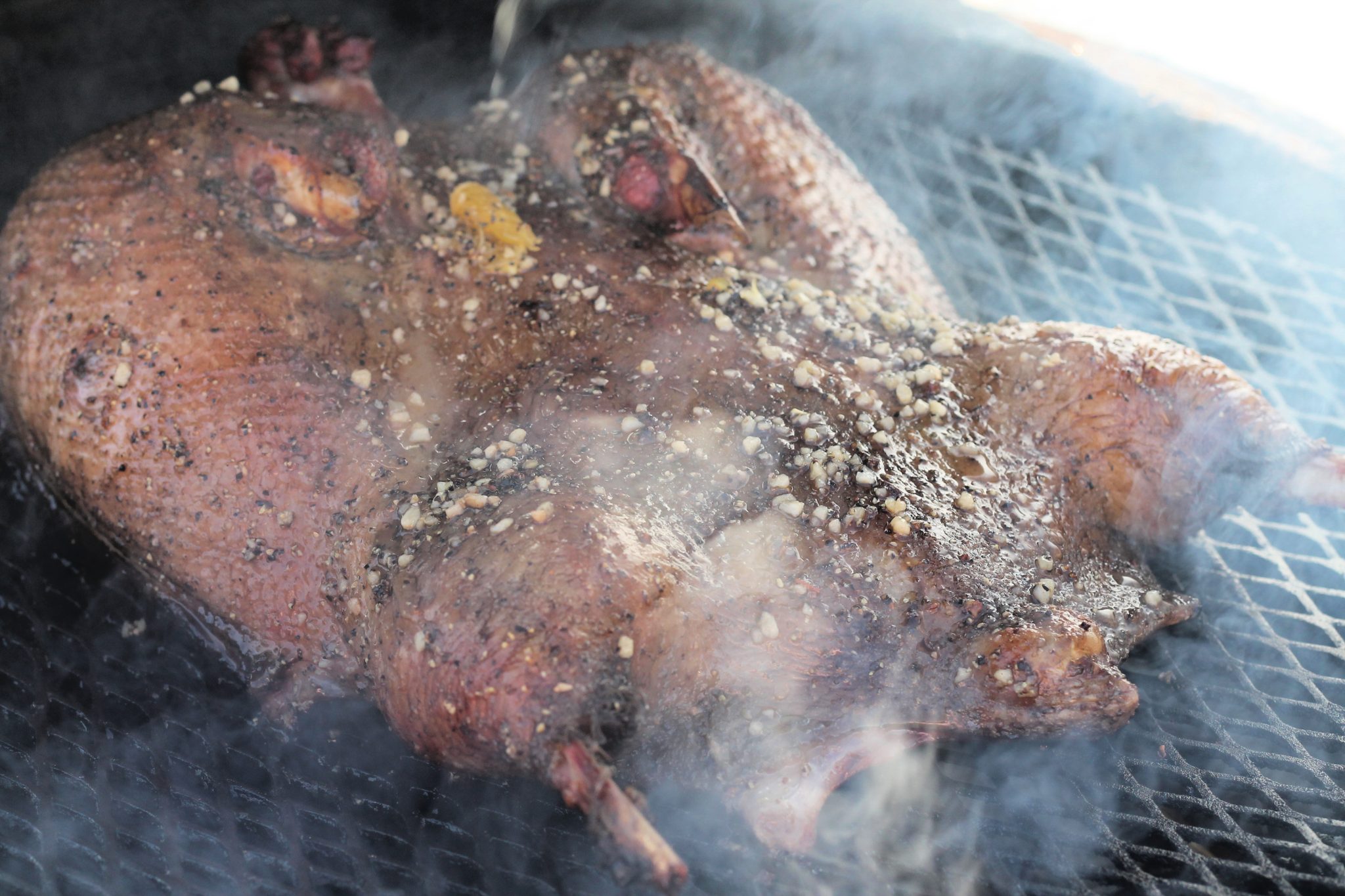Grilled Goose - Nelson Road Garden