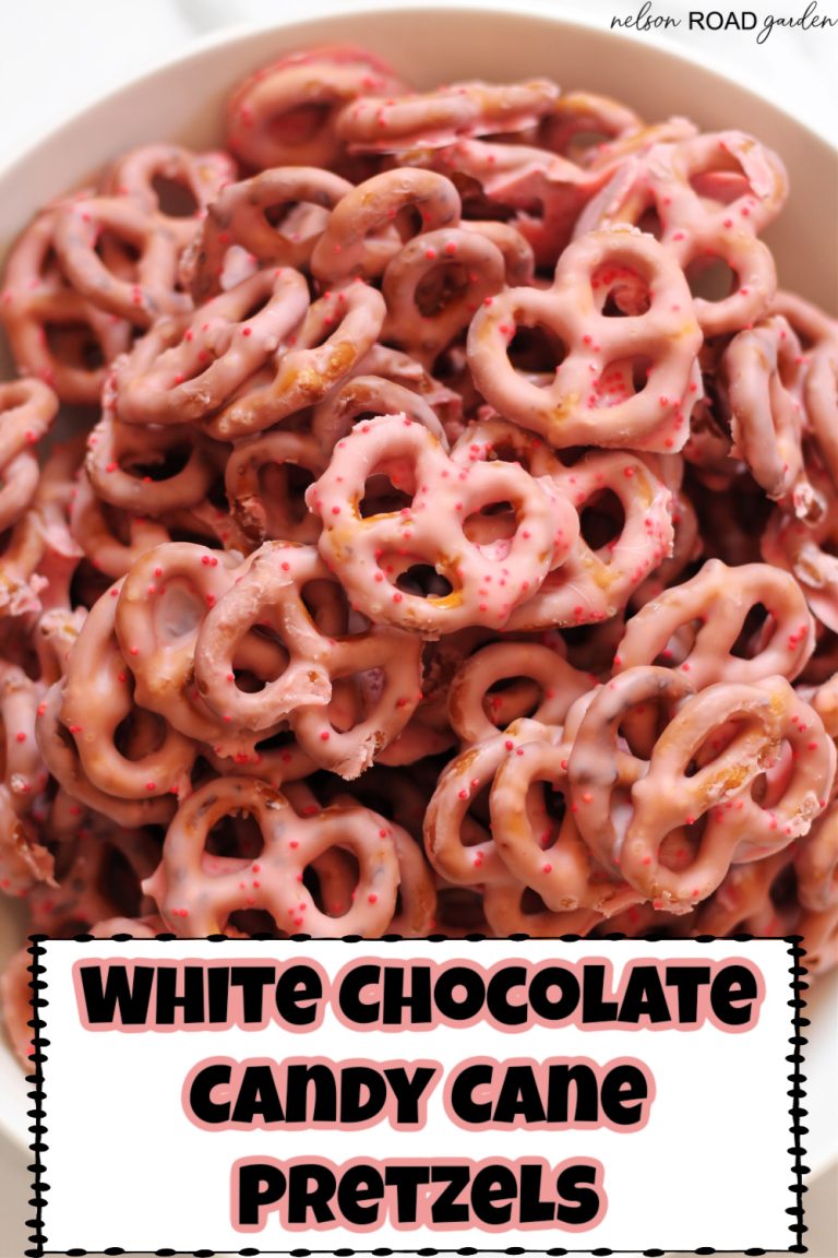 White Chocolate Candy Cane Pretzels - Nelson Road Garden