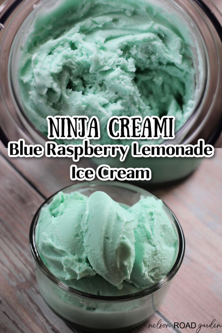 Ninja Creami Blue Raspberry Lemonade Ice Cream - Nelson Road Garden