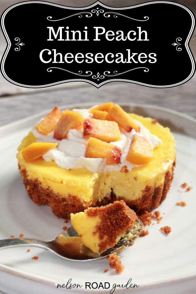 Mini Peach Cheesecakes - Nelson Road Garden