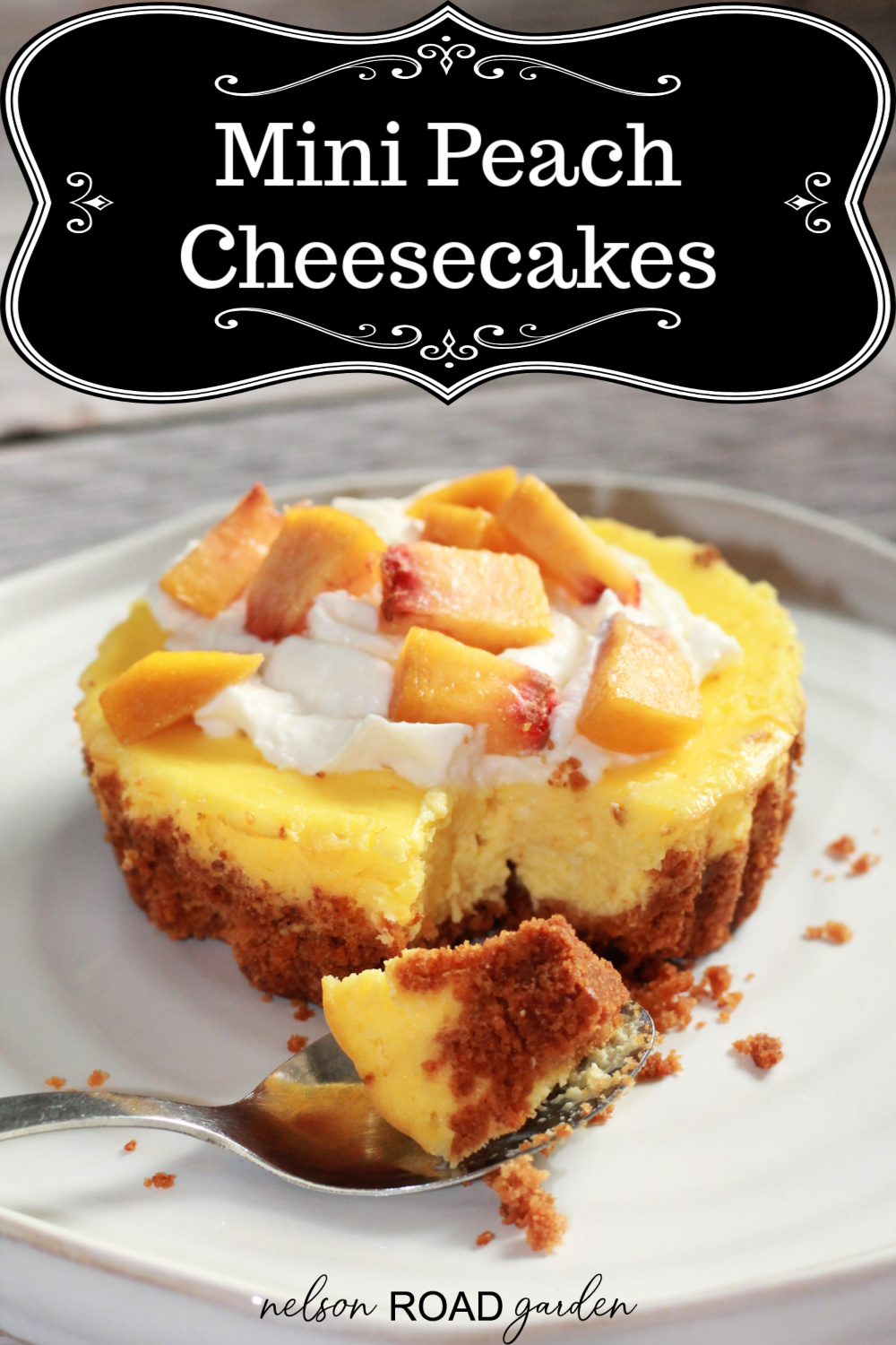 Mini Peach Cheesecakes - Nelson Road Garden