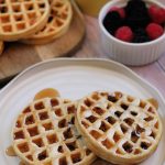 Mixed Berry Waffles - Nelson Road Garden
