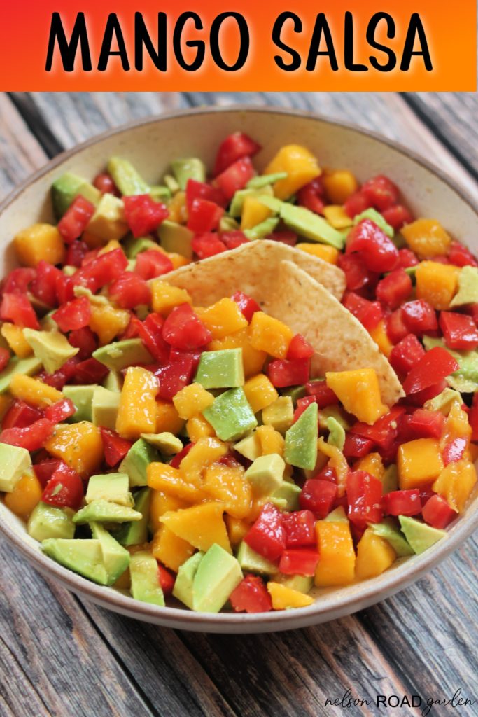 Mango Salsa - Nelson Road Garden