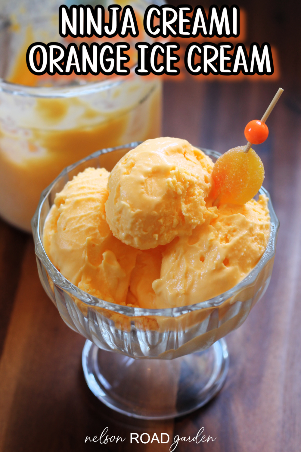 Ninja Creami Orange Ice Cream - Nelson Road Garden