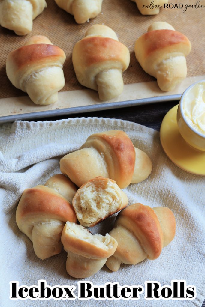Icebox Butter Rolls - Nelson Road Garden
