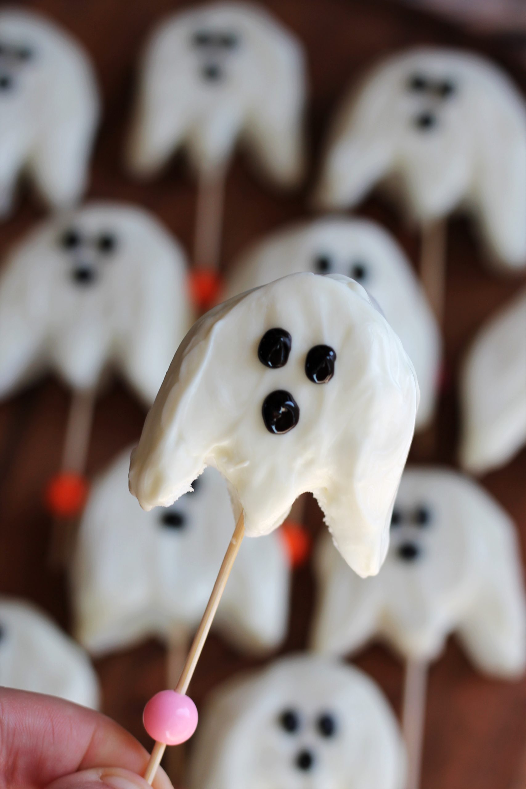 Marshmallow Ghosts - Nelson Road Garden