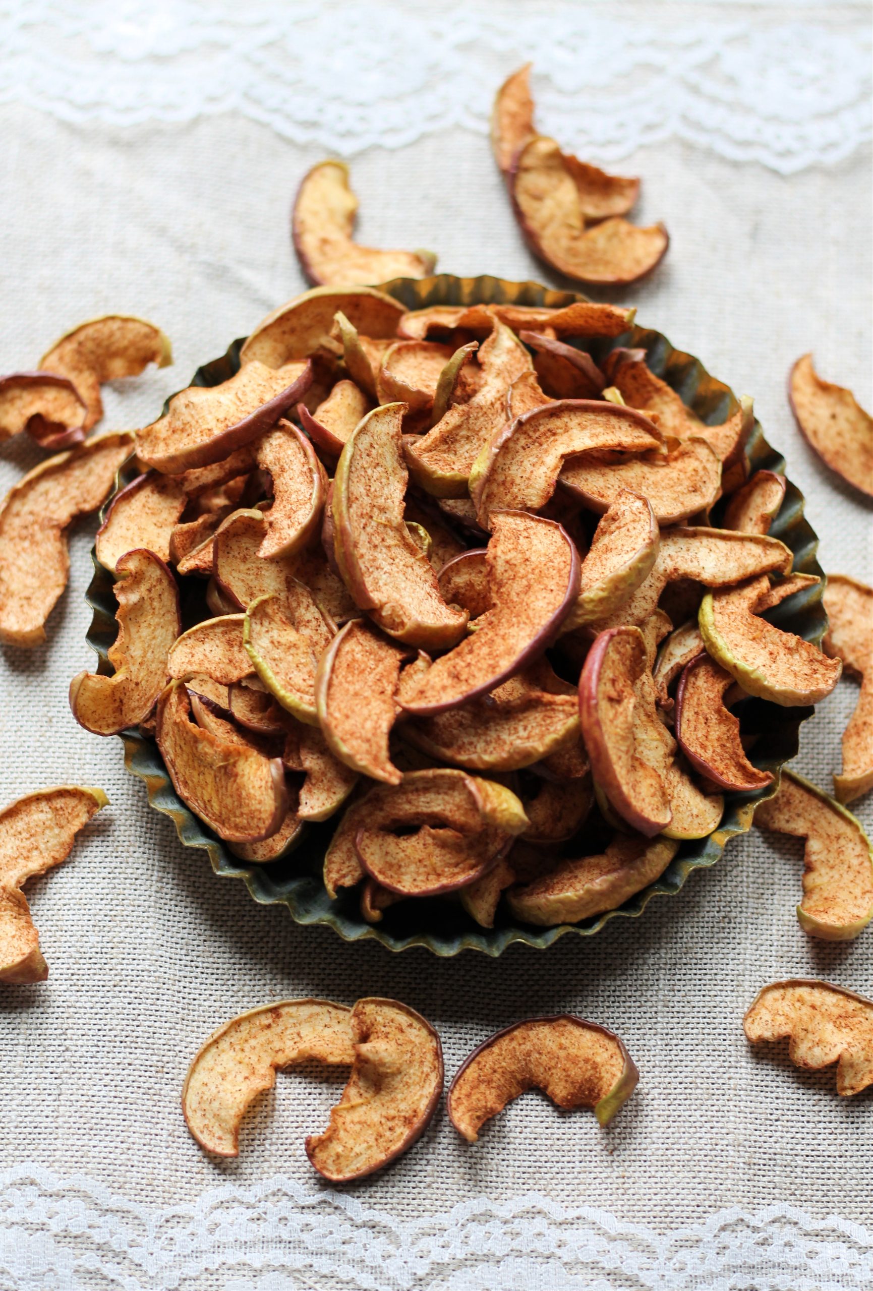 Dehydrated Cinnamon Apple Chips - Nelson Road Garden