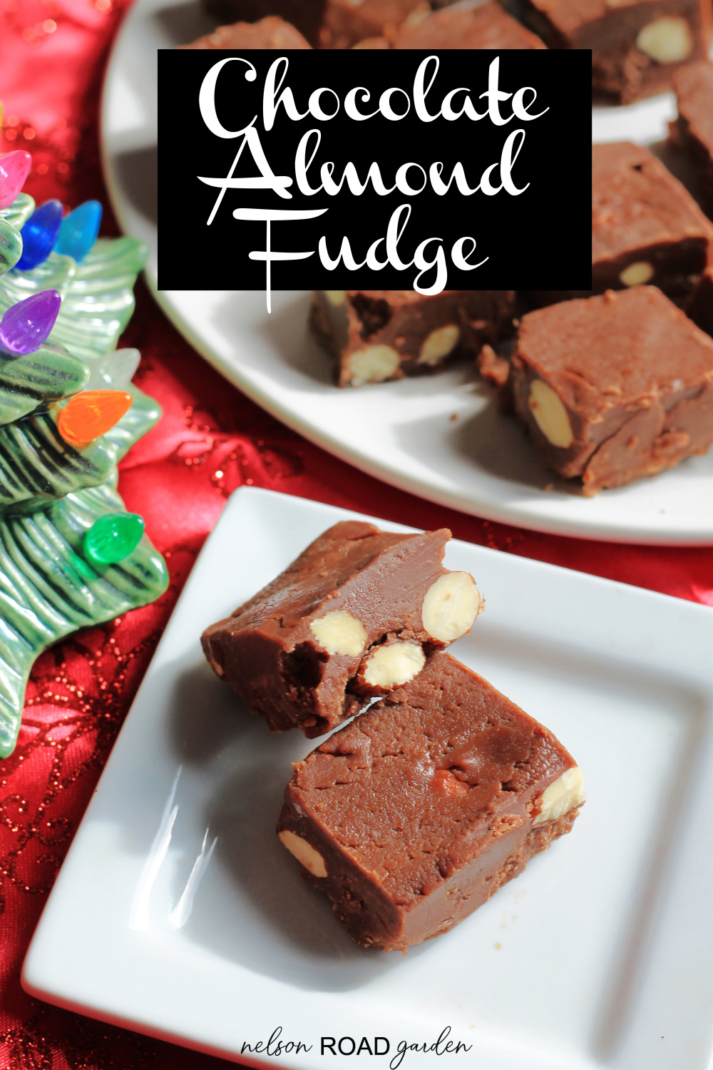 Chocolate Almond Fudge - Nelson Road Garden