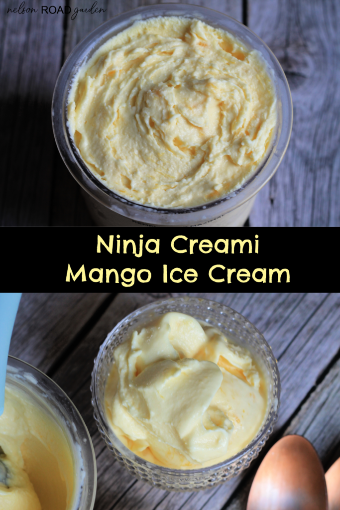 Ninja Creami Mango Ice Cream - Nelson Road Garden