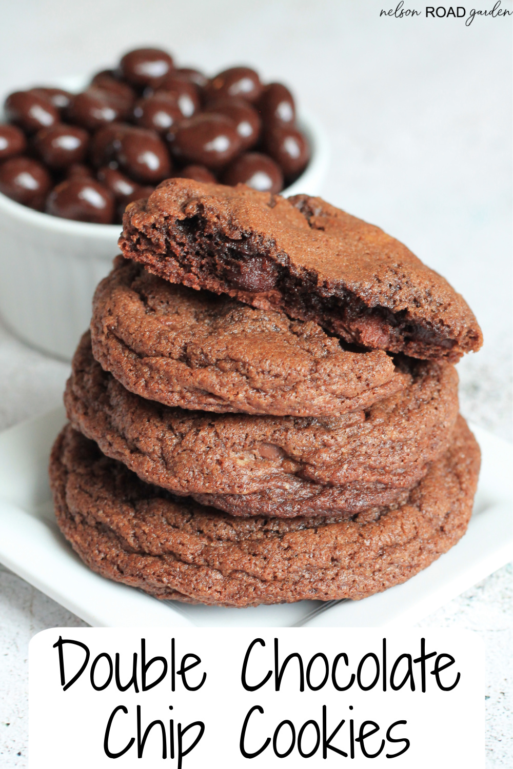 Double Chocolate Chip Cookies - Nelson Road Garden